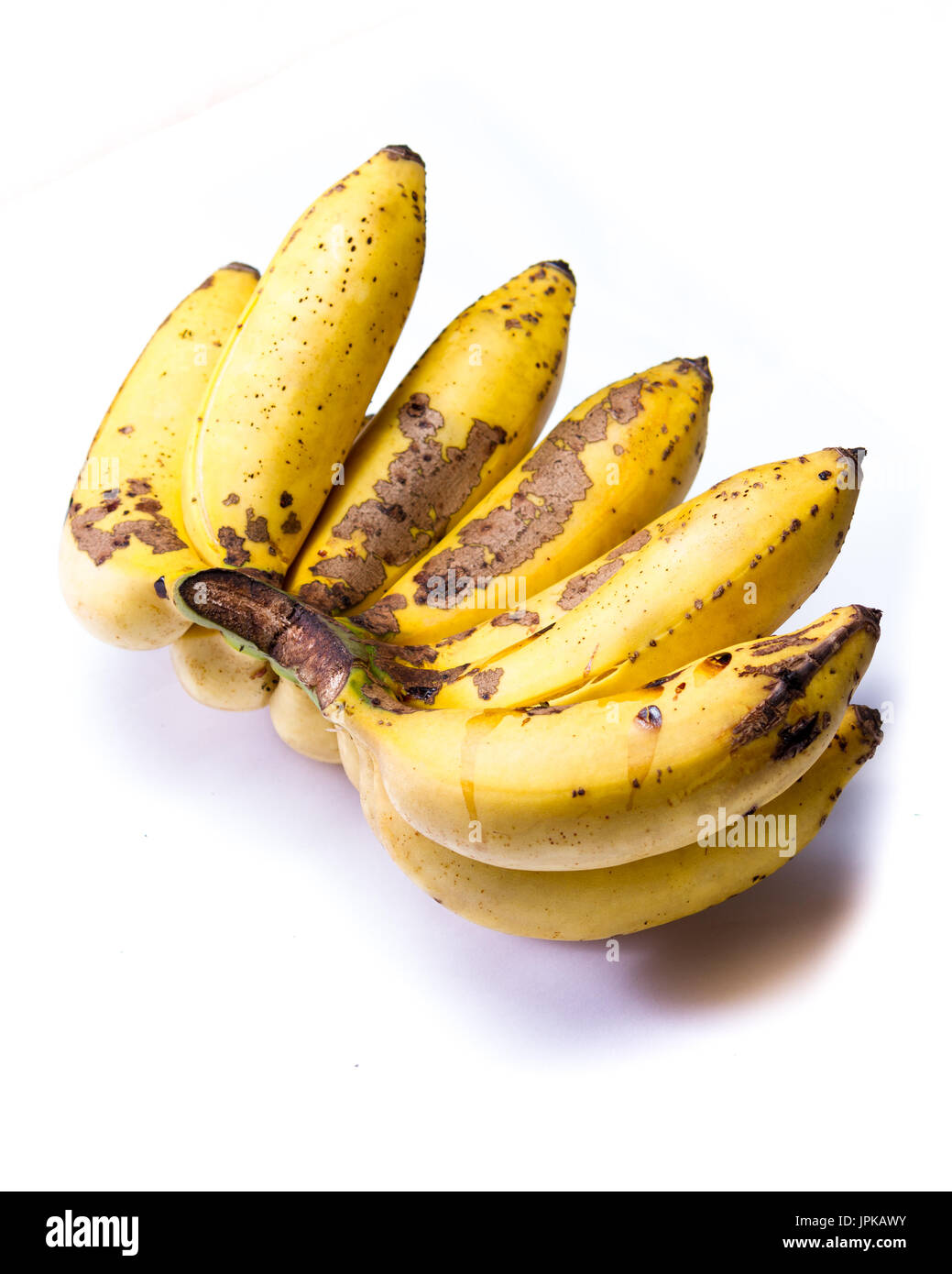 organic small bananas tree ripen with small imperfections isolated on a ...