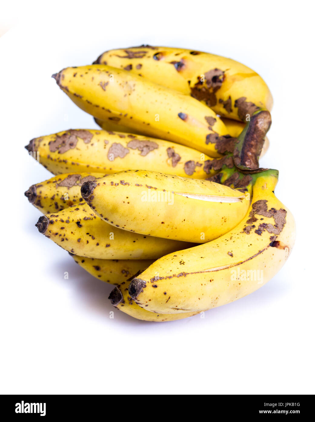 organic small bananas tree ripen with small imperfections isolated on a ...