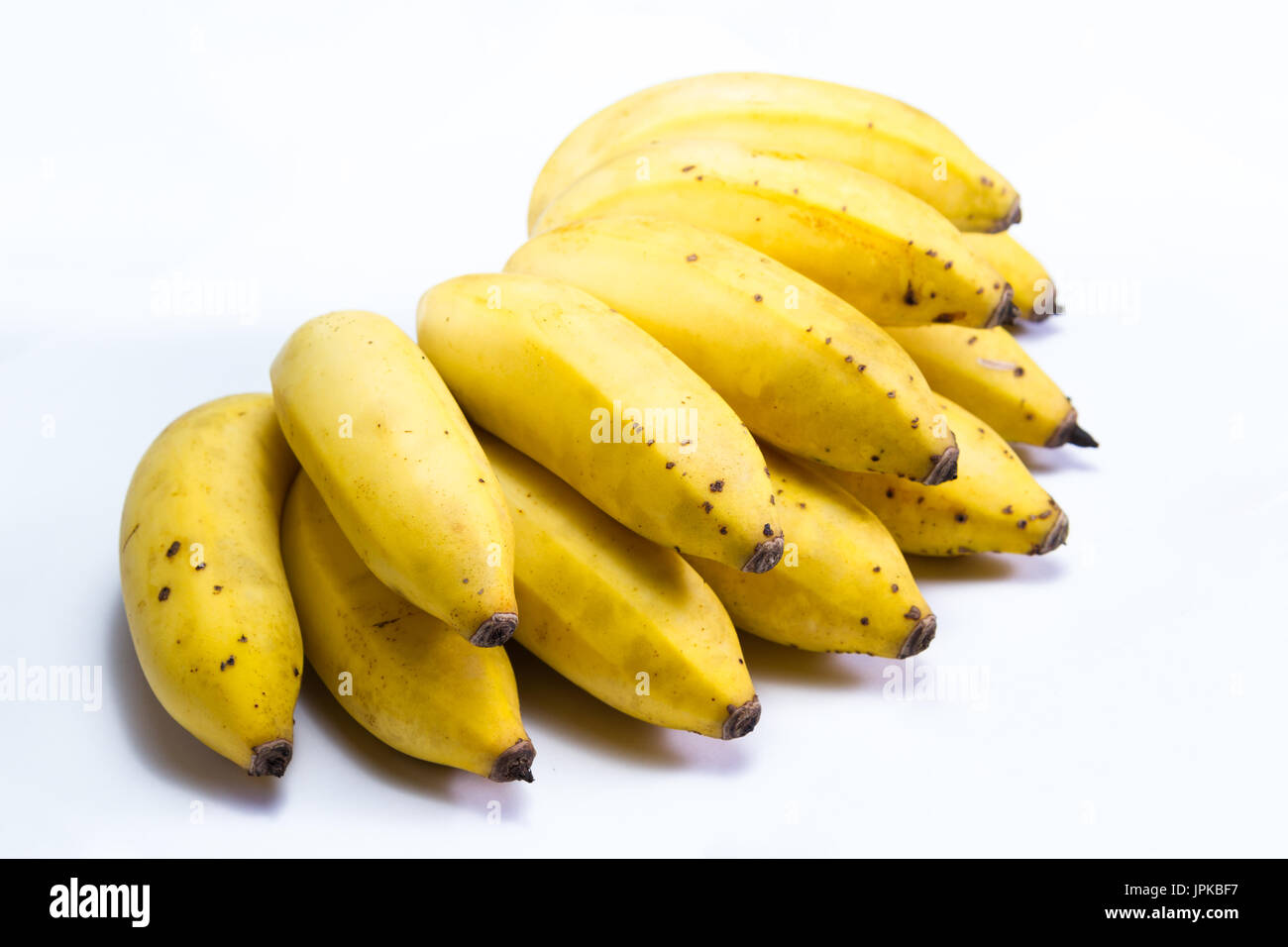 organic small bananas tree ripen with small imperfections isolated on a ...