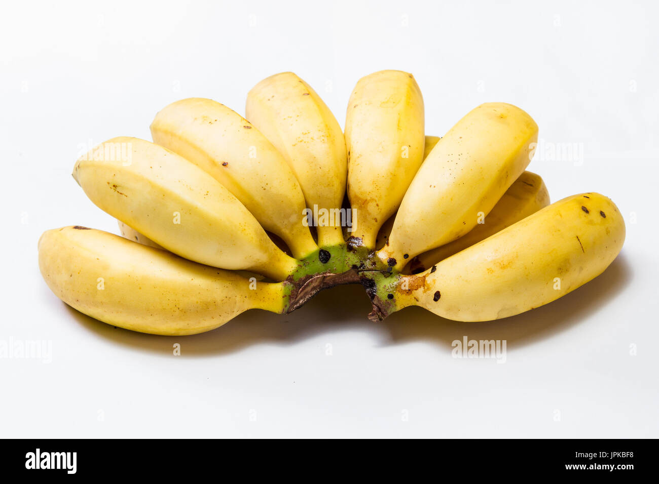 organic small bananas tree ripen with small imperfections isolated on a ...