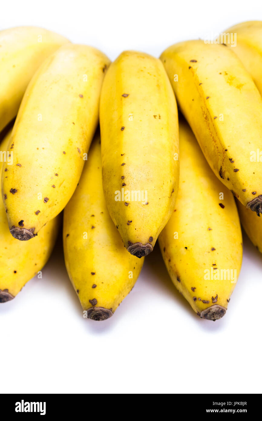 organic small bananas tree ripen with small imperfections isolated on a ...