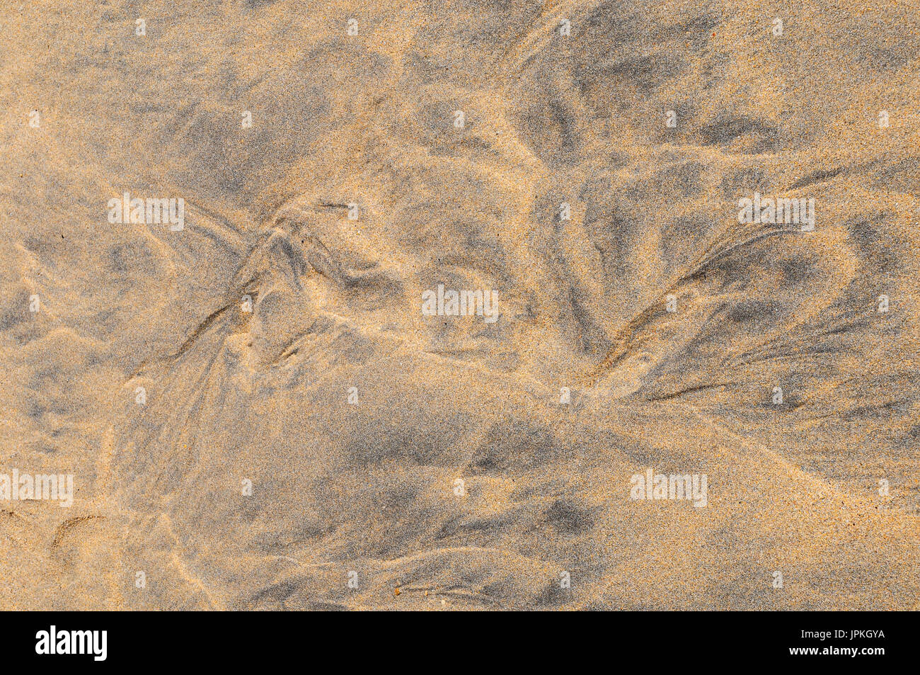 Coastal grains hi-res stock photography and images - Alamy
