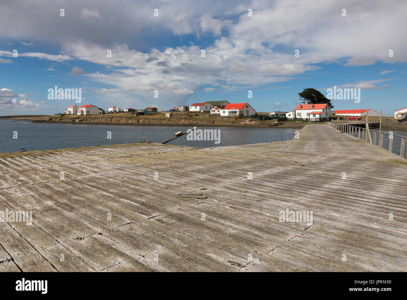 Goose green and falklands hi-res stock photography and images - Alamy