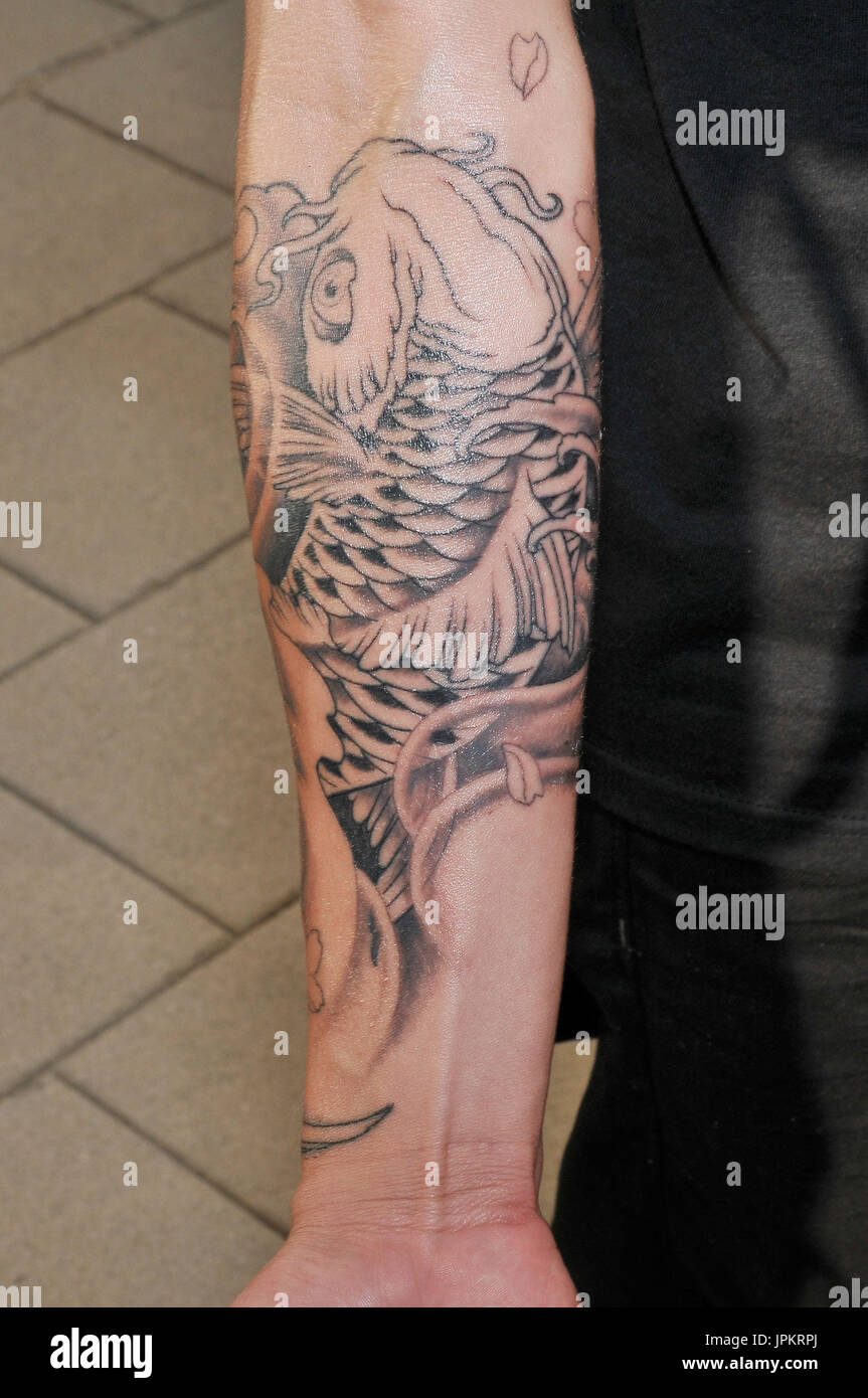 Poreotics - Dumbo AKA Matt Nguyen's Tattoo at the ISA International ...