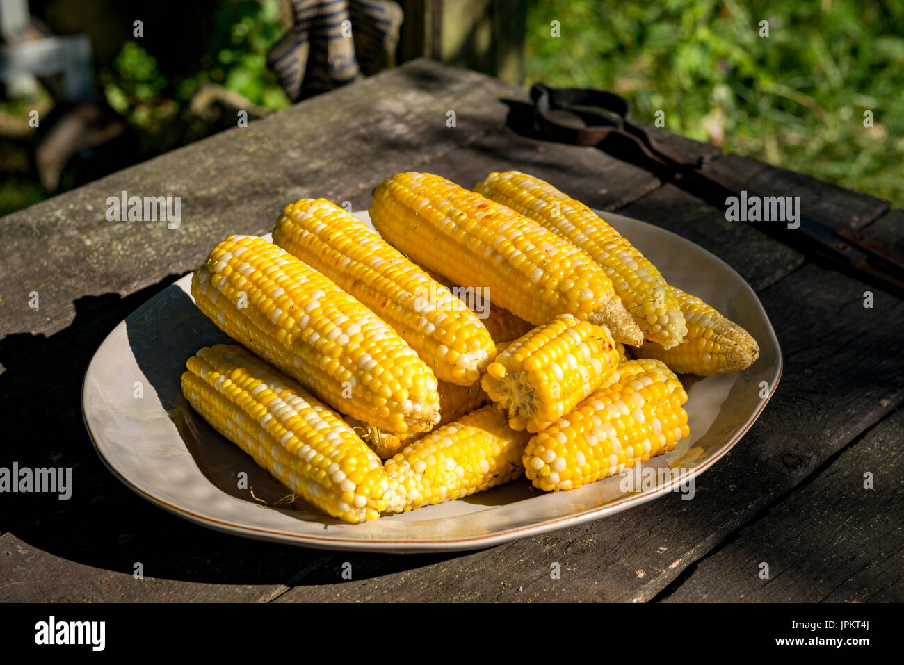 Tray with sweet corn on the cob Stock Photo - Alamy