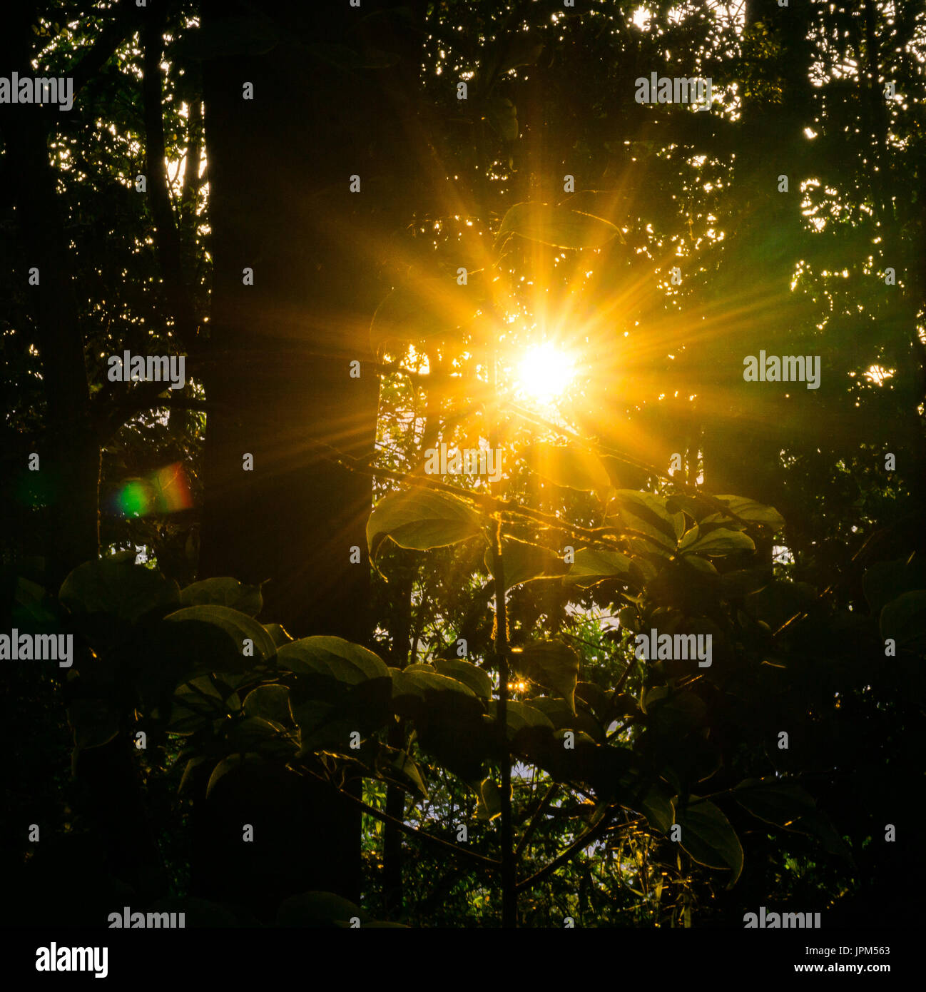 Rays of sunshine hi-res stock photography and images - Alamy