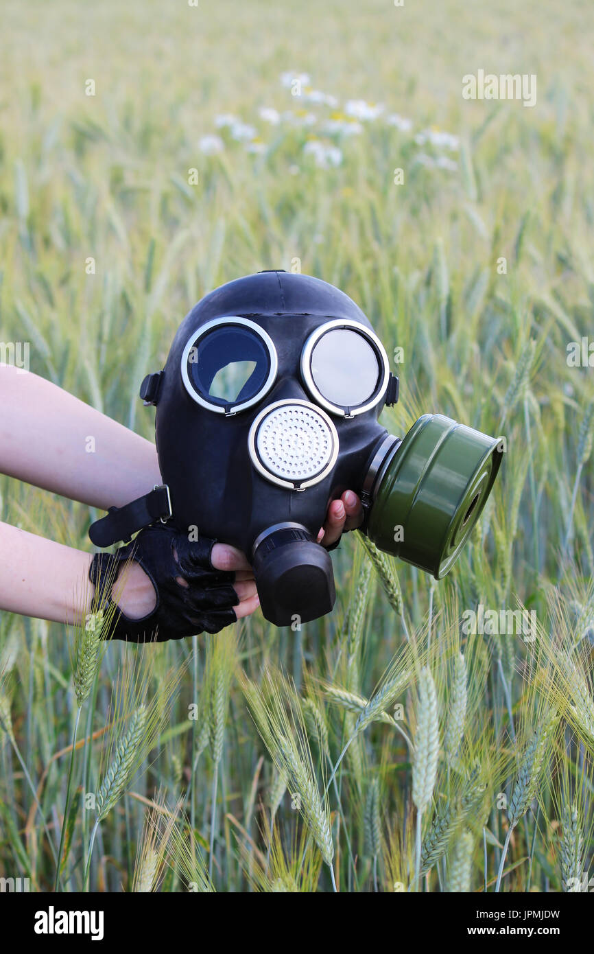 Gas mask opposite the wheat field. The concept of an environmental ...