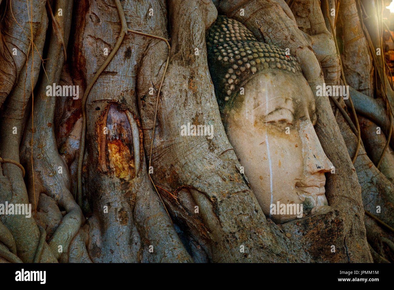 Famous Buddha Head with Banyan Tree Root at Wat Mahathat Temple in ...
