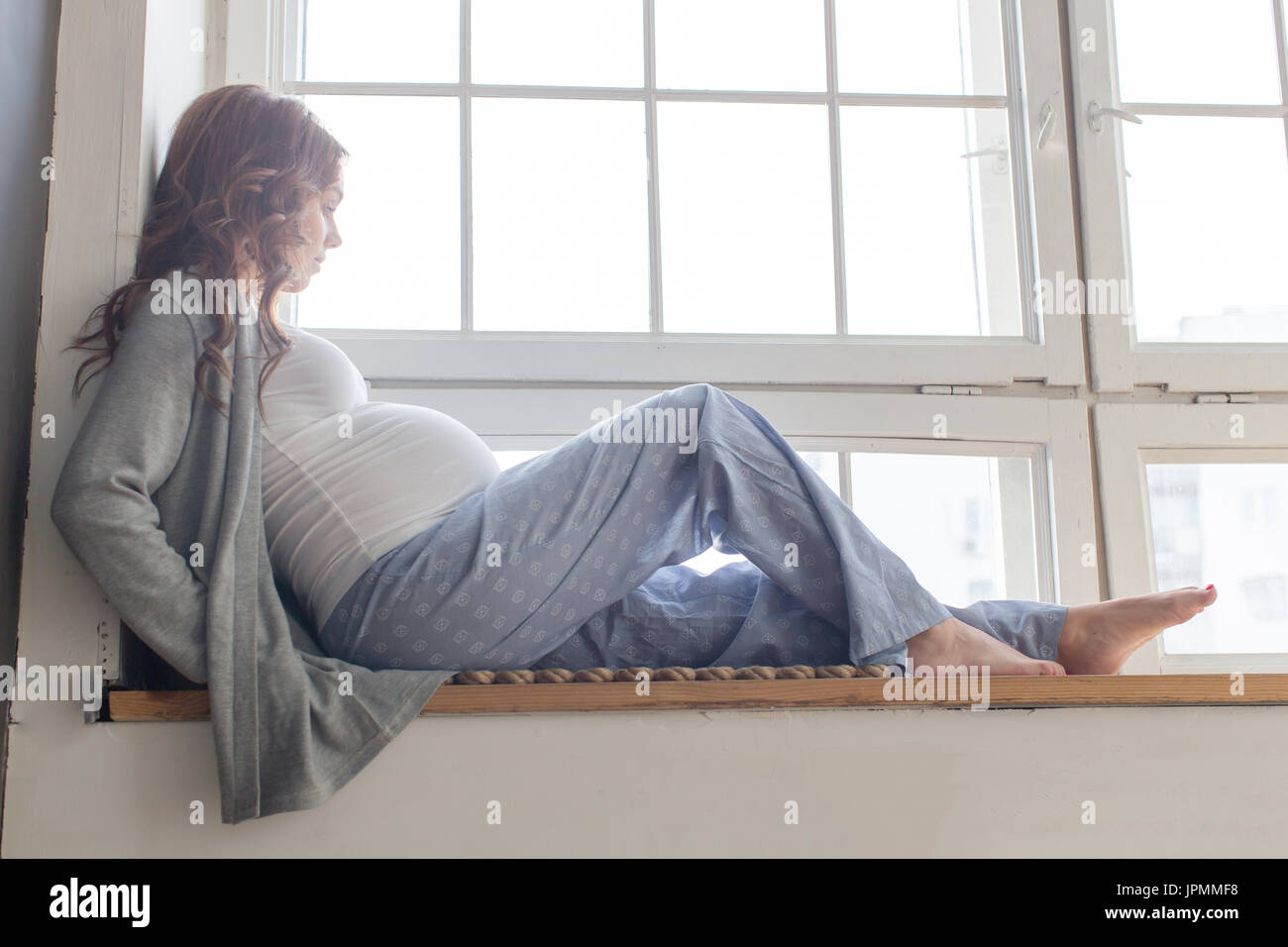 Pregnant female is sitting on the windowsill Stock Photo - Alamy