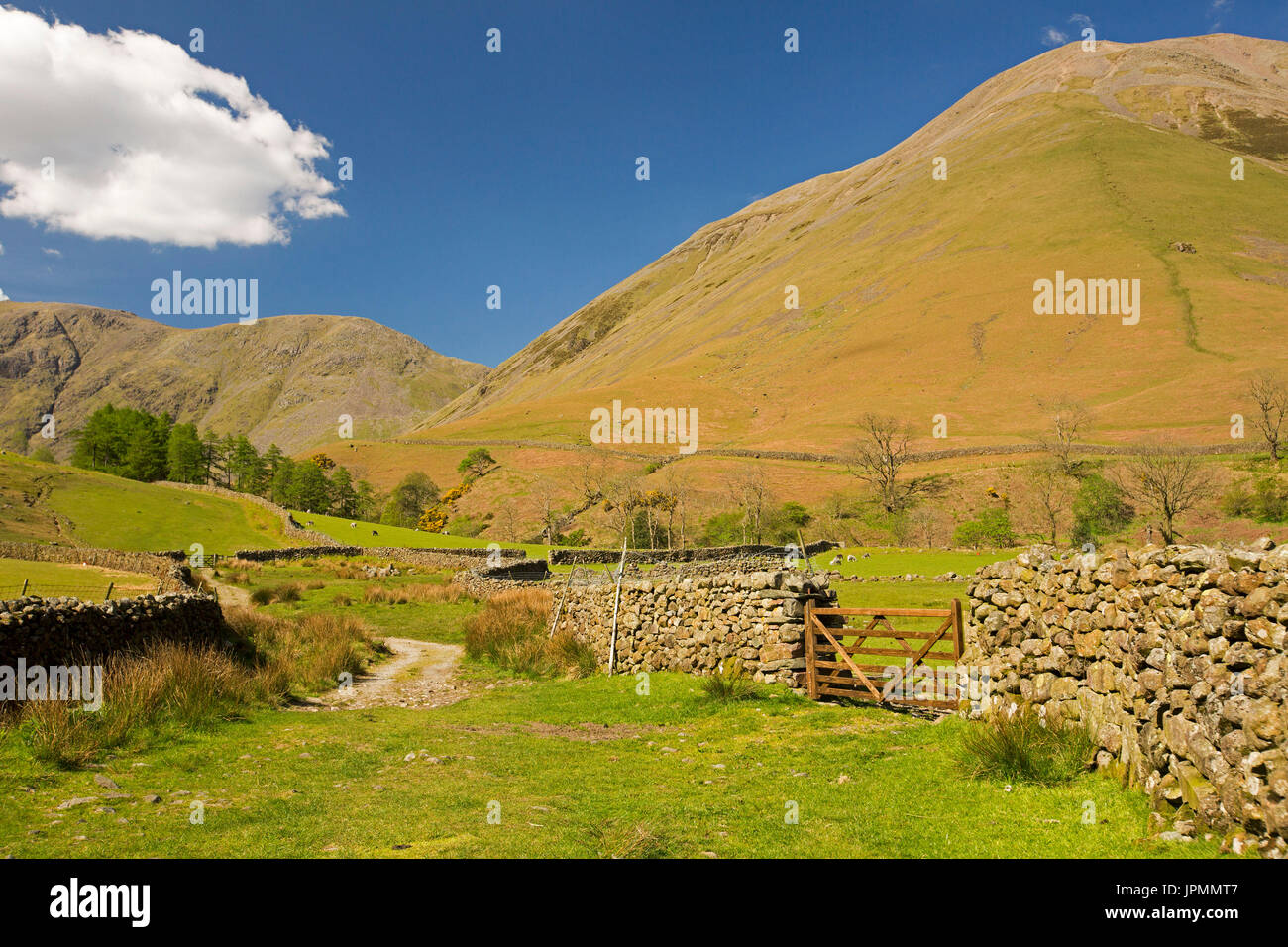Colourful landscape in Lake District with track passing emerald fields ...