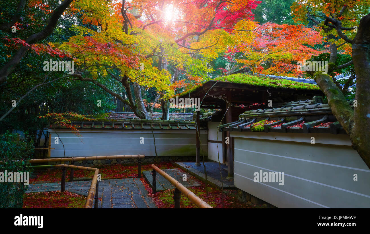 Kotoin temple hi-res stock photography and images - Alamy