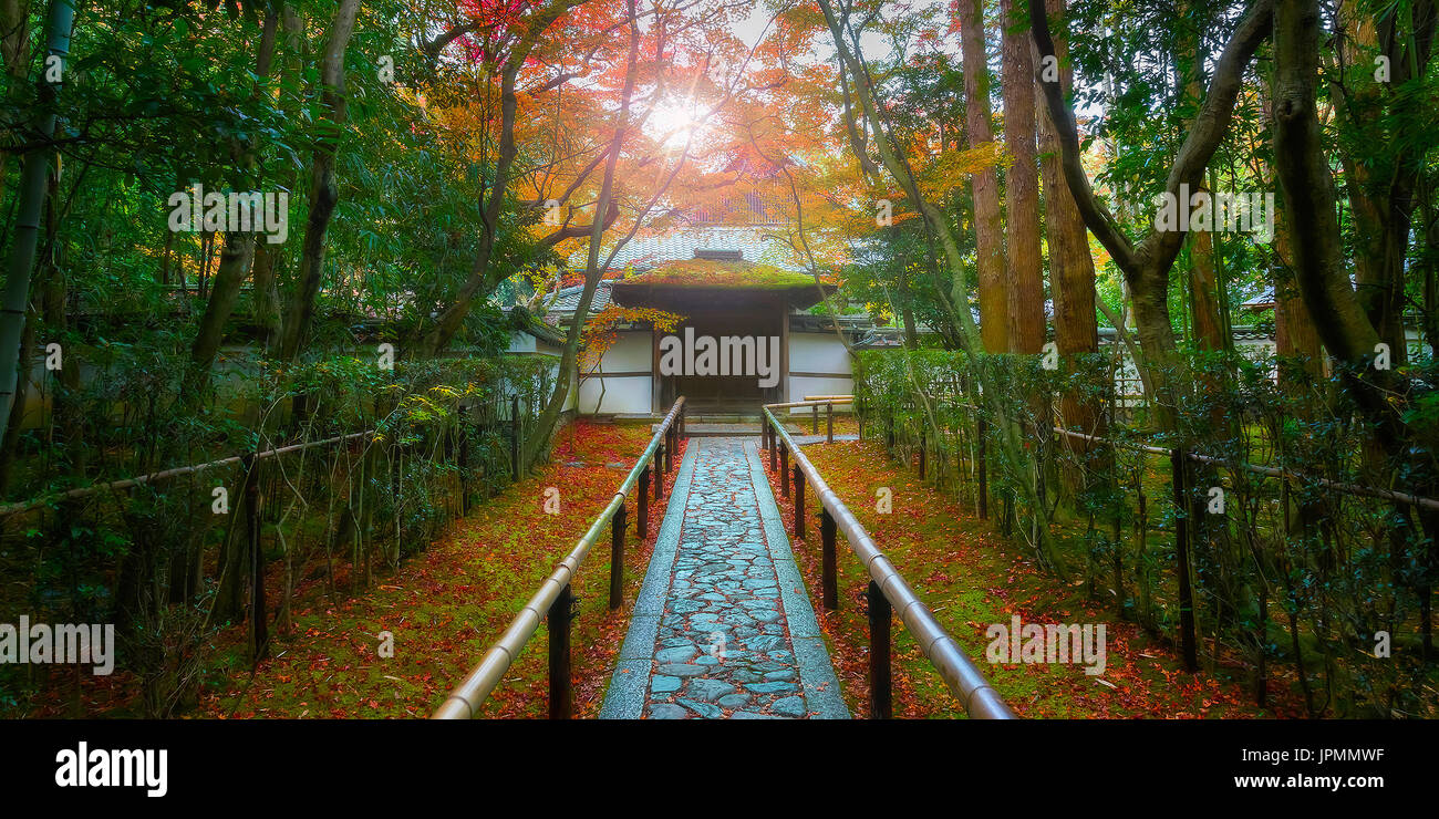 Koto in temple kyoto autumn hi-res stock photography and images - Alamy