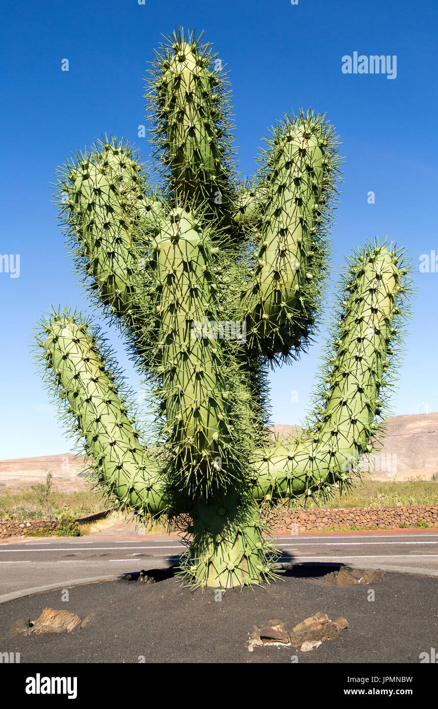 Giant green cactus sculpture outside Jardin de Cactus, César Manrique ...