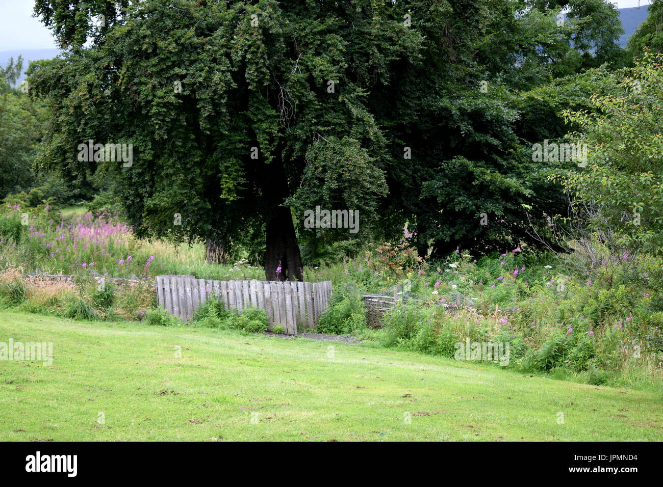 Man made tree hi-res stock photography and images - Alamy