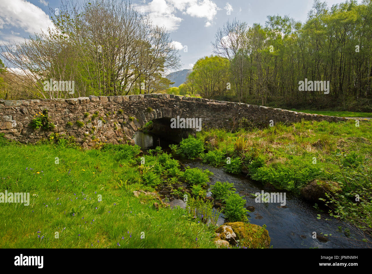 Arched stone bridge over trickling stream lined with emerald vegetation ...