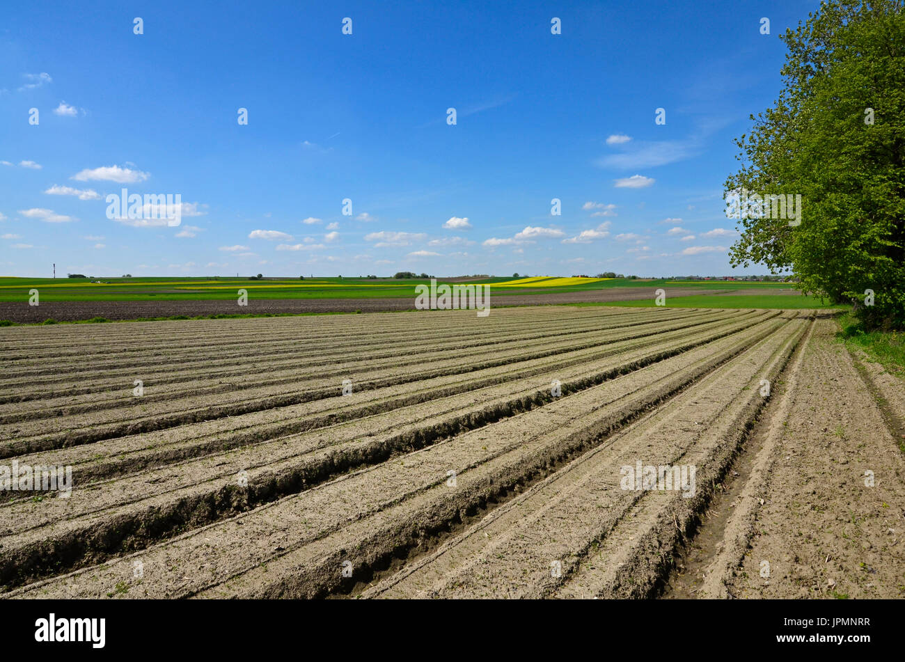 Farming field ridges soil hi-res stock photography and images - Alamy