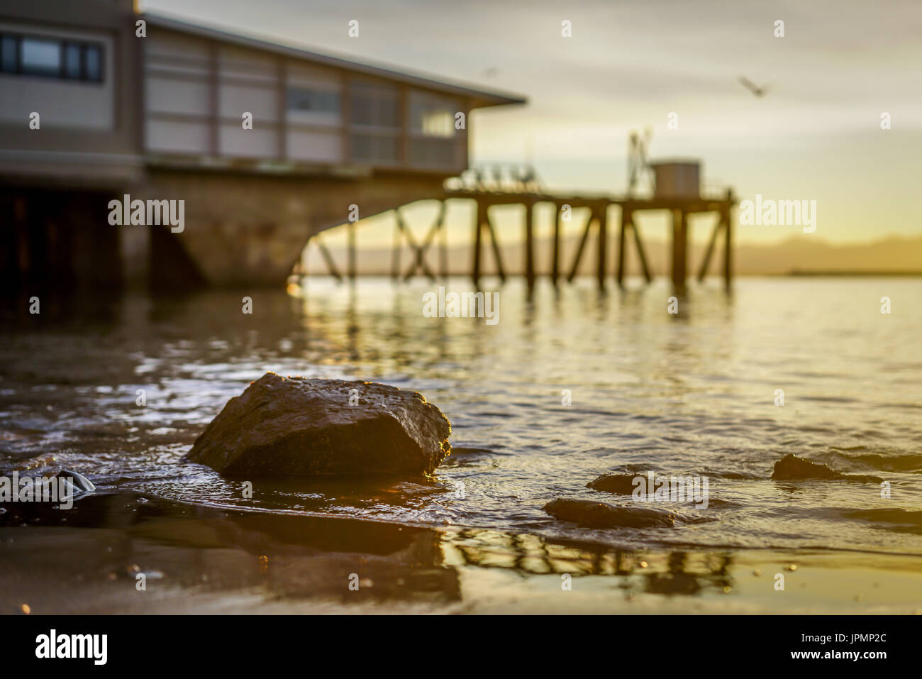 Nelson marina hi-res stock photography and images - Alamy