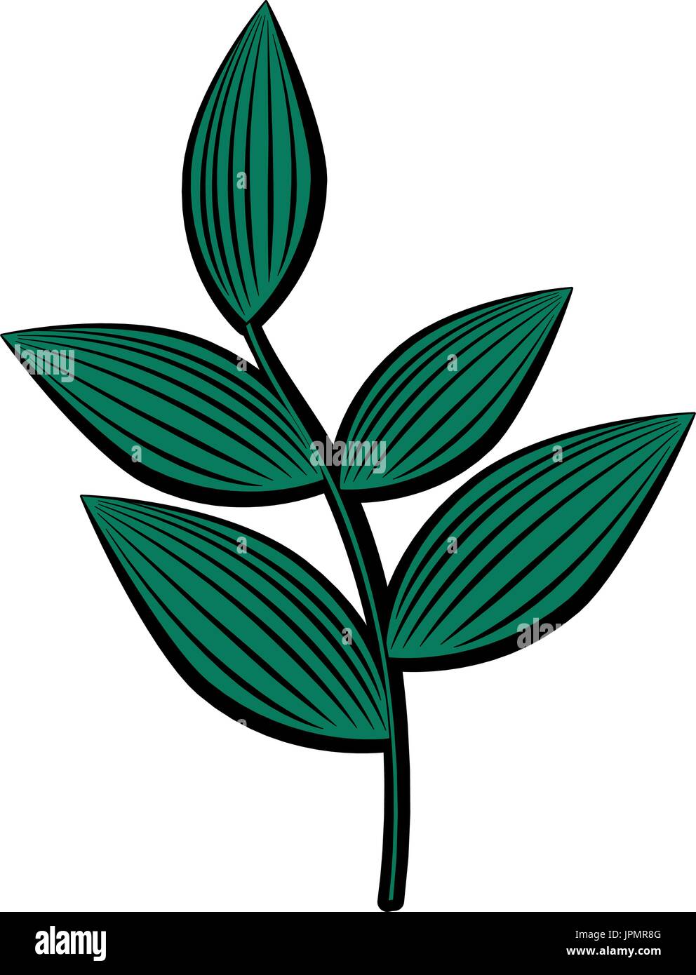 leaves icon image over white background vector illustration Stock ...