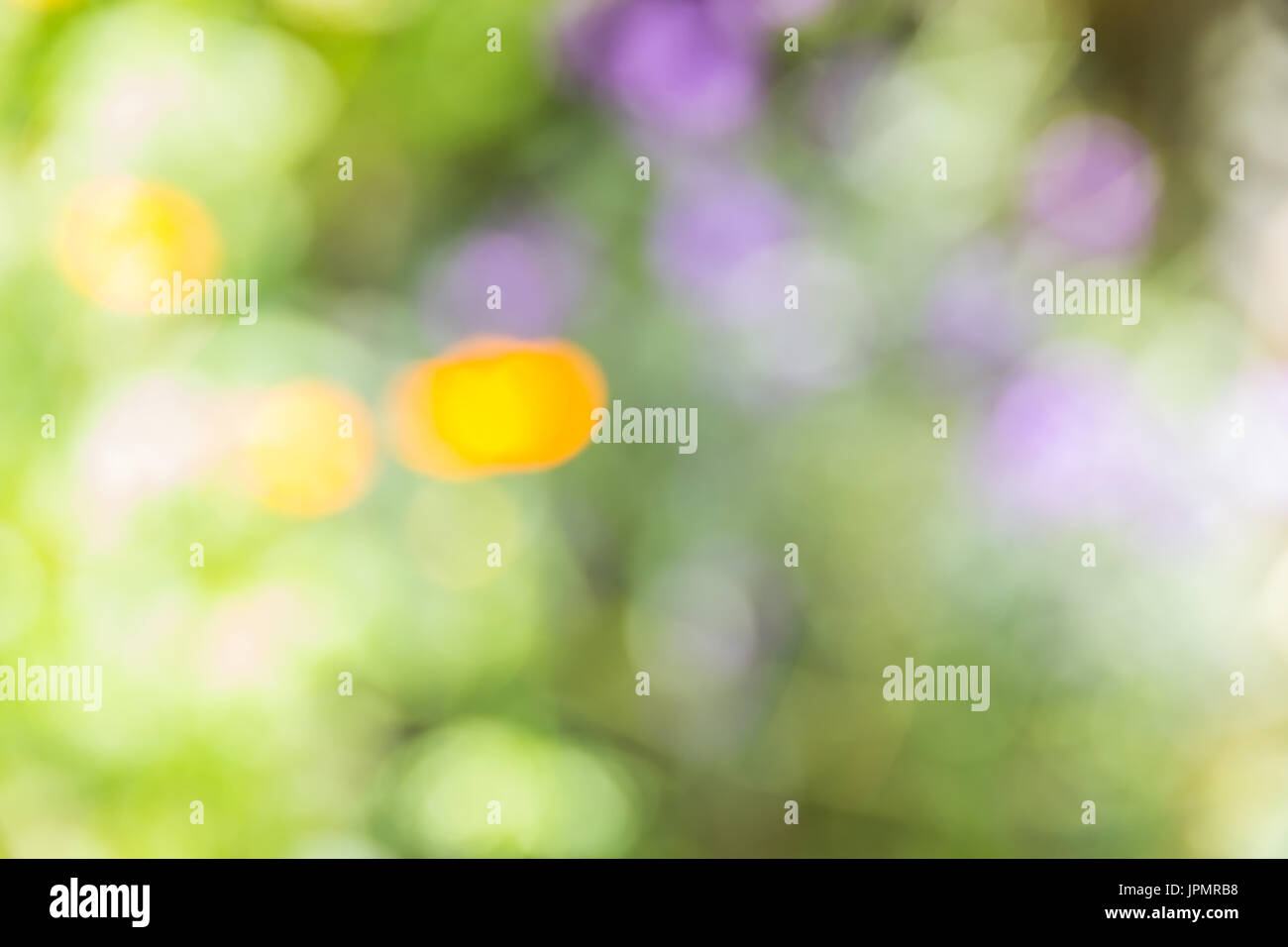 Abstract bokeh and blurred green nature background model is used to ...