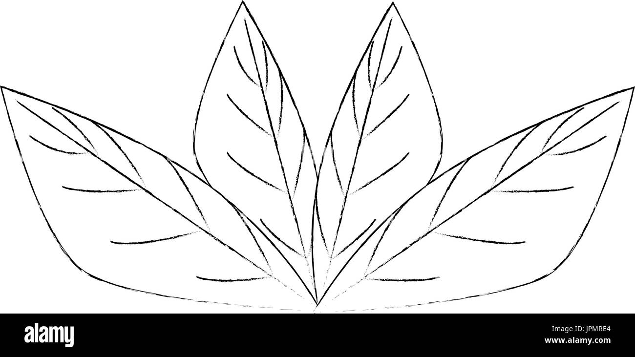 leaves icon image over white background vector illustration Stock ...