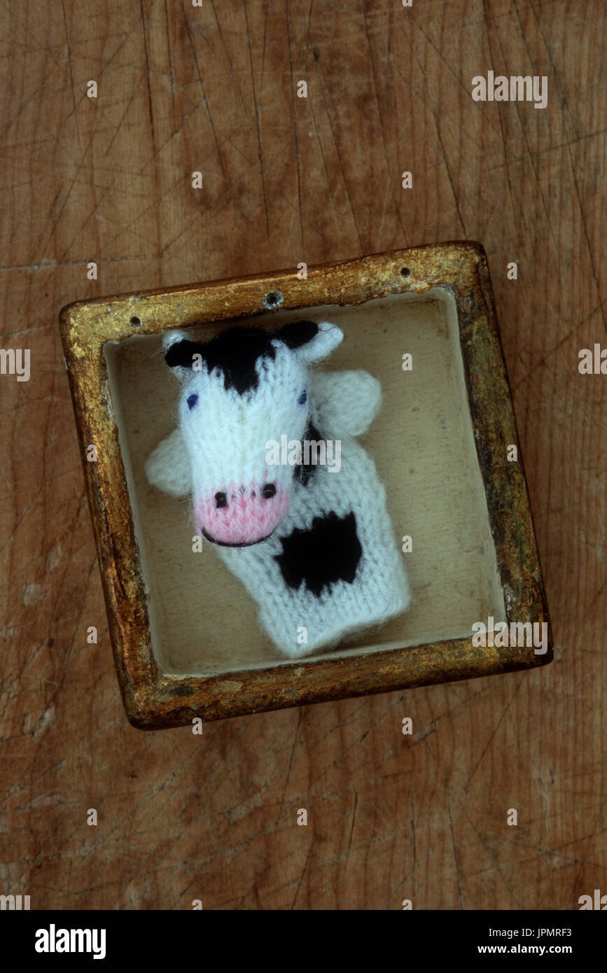 Handknitted finger puppet of black and white cow with pink nose lying ...