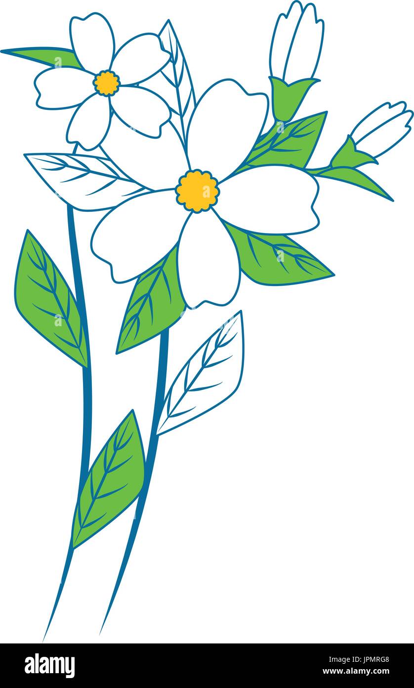 Beautiful flowers gardening over white background vector illustration ...