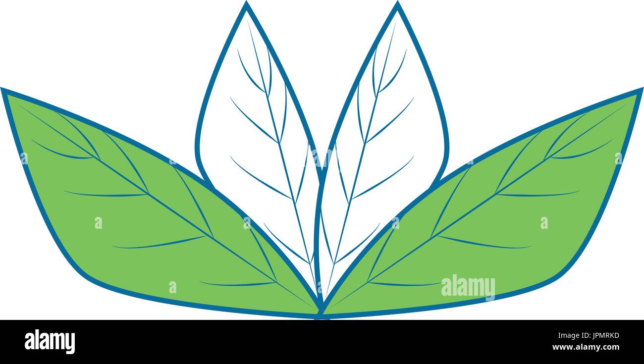 leaves icon image over white background vector illustration Stock ...