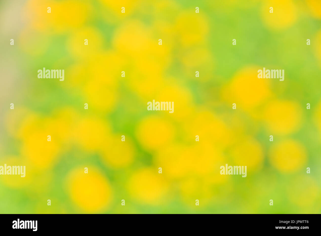 Abstract bokeh and blurred green nature background model is used to ...