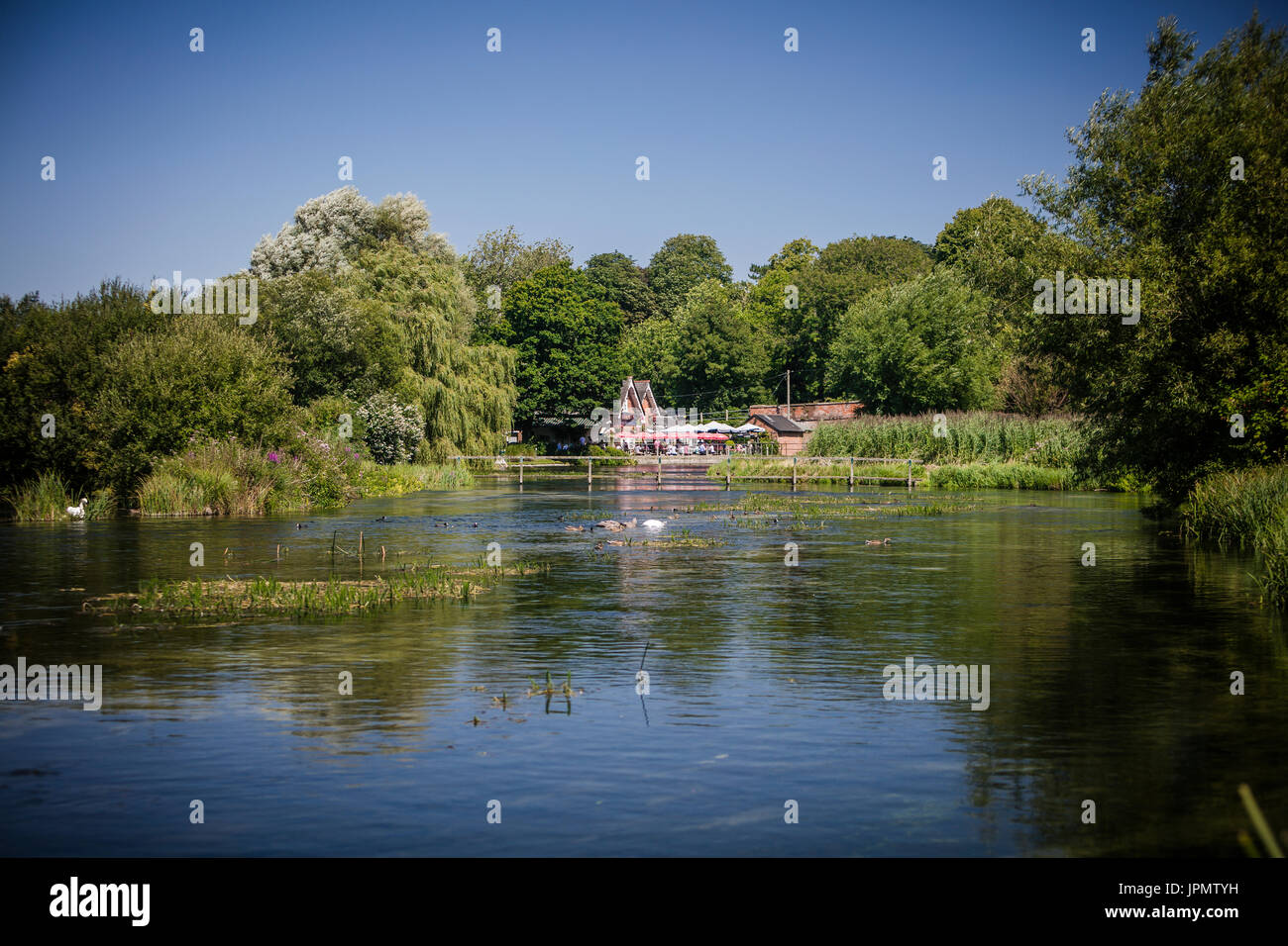Test river stockbridge fishing hi-res stock photography and images - Alamy