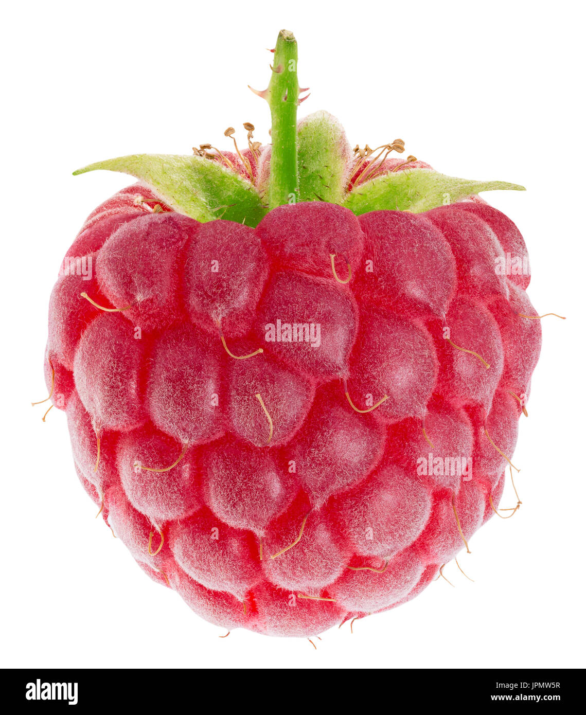 raspberry isolated on a white background Stock Photo - Alamy