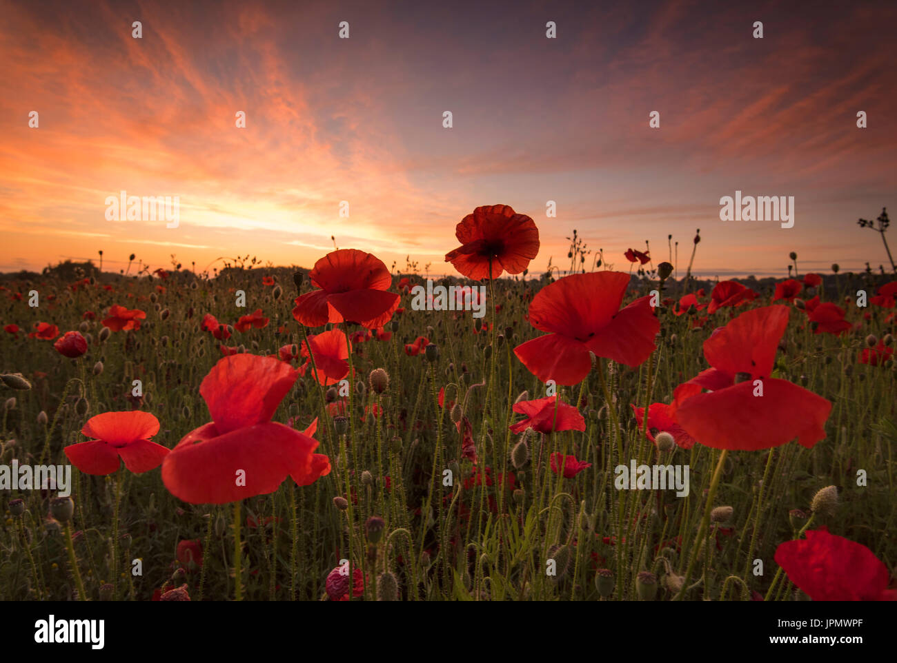 Shepshed hi-res stock photography and images - Alamy