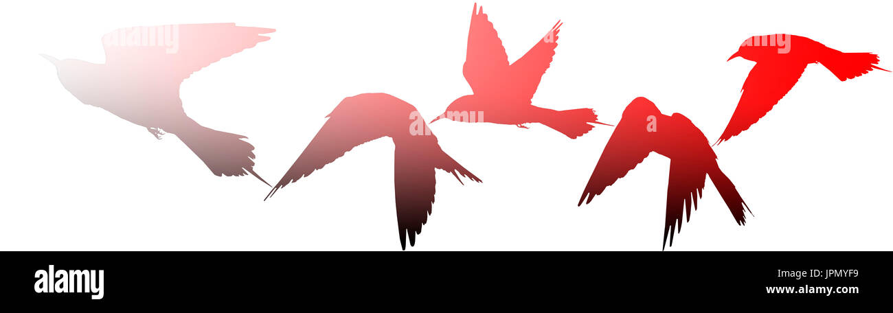Silhouettes of birds as a symbol of war Stock Photo - Alamy