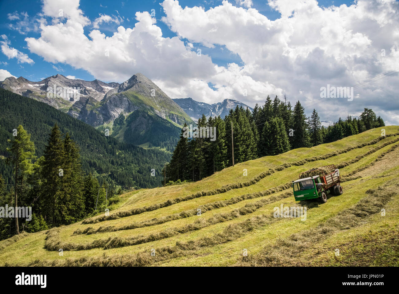 Things Tirolean, cutting the grass in the high alpine meadows of Hinter ...