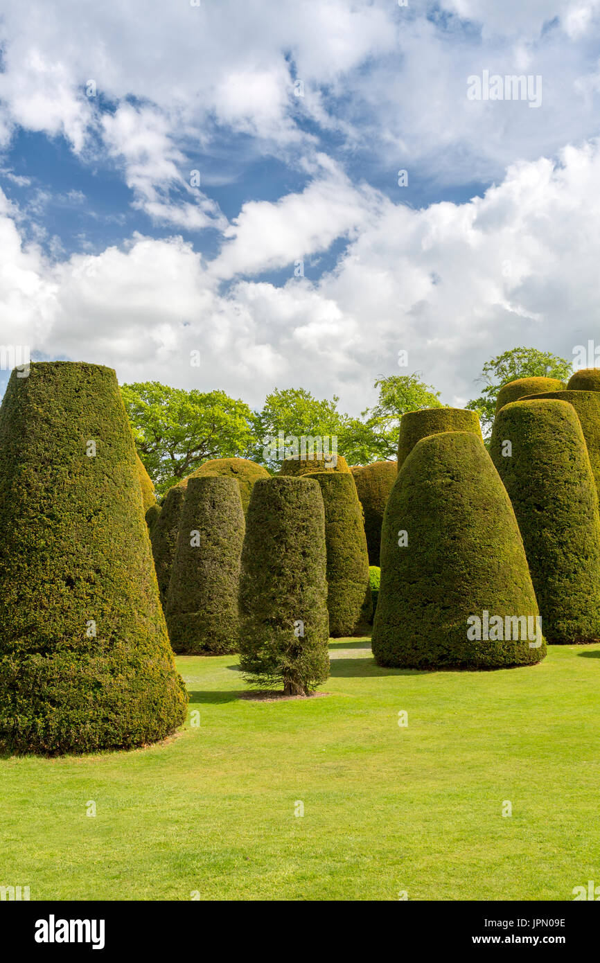 Formal topiary manor house hi-res stock photography and images - Alamy