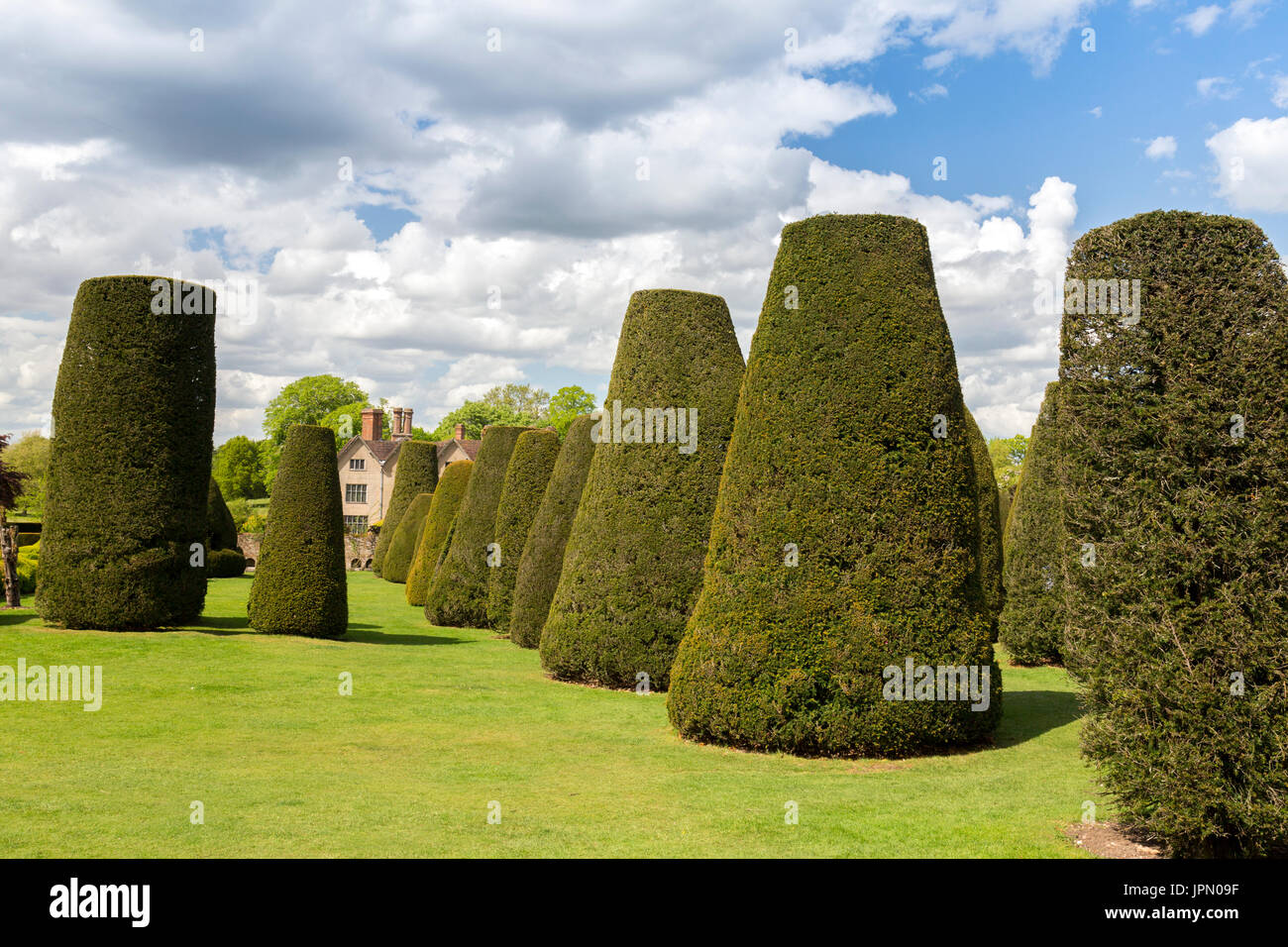 Formal topiary manor house hi-res stock photography and images - Alamy