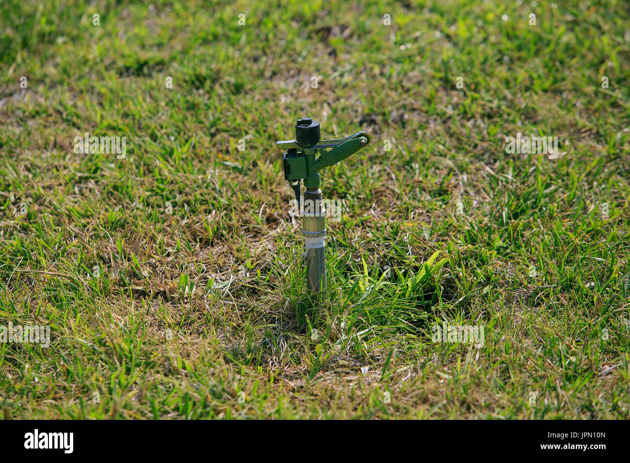 System of irrigation of grass Stock Photo - Alamy
