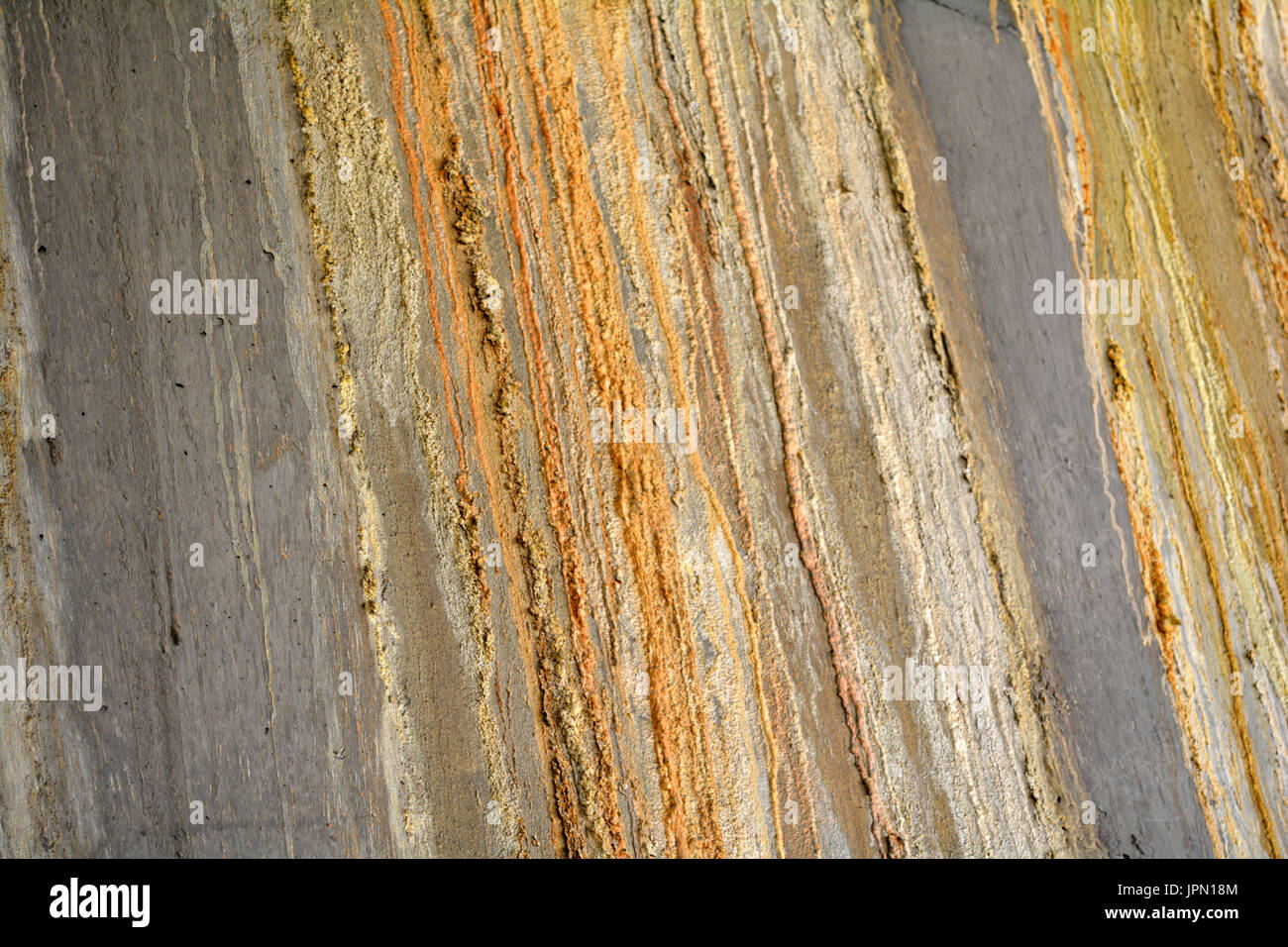 Beautiful wooden texture of tree wood Stock Photo - Alamy