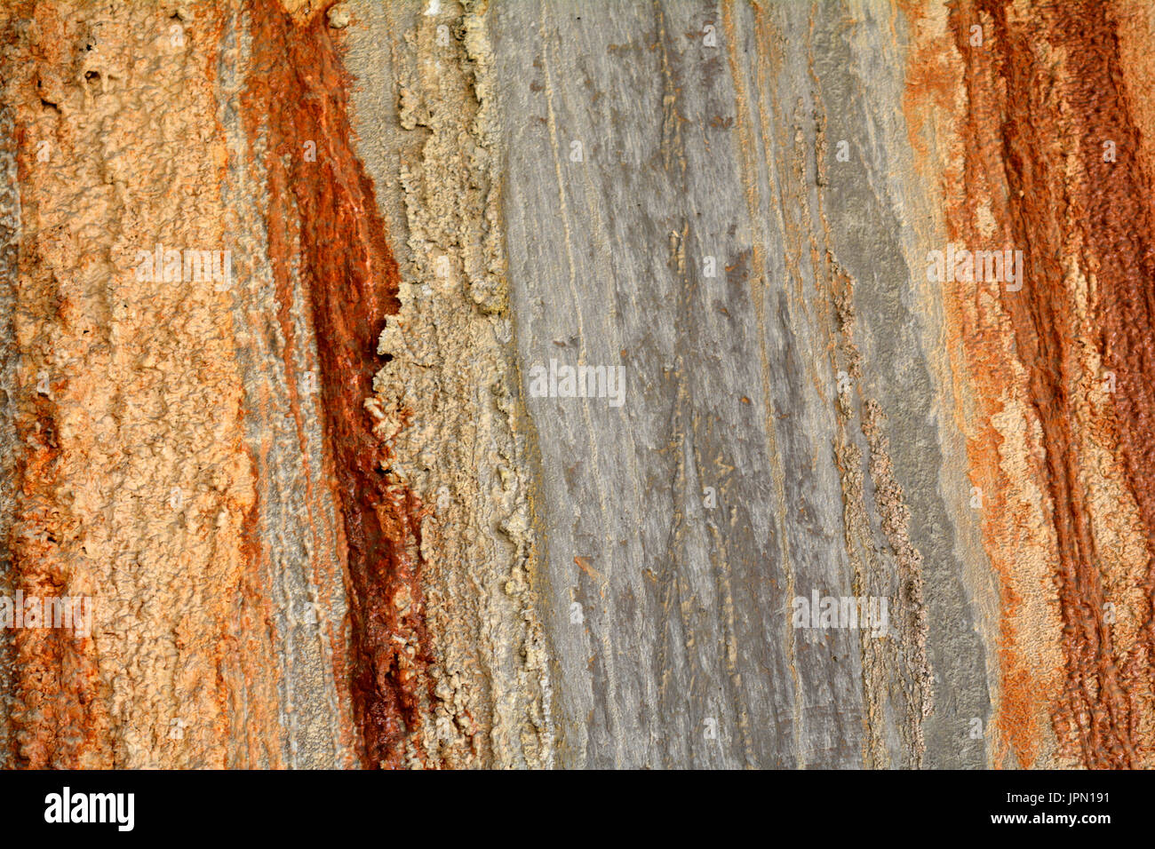 Beautiful wooden texture of tree wood Stock Photo - Alamy