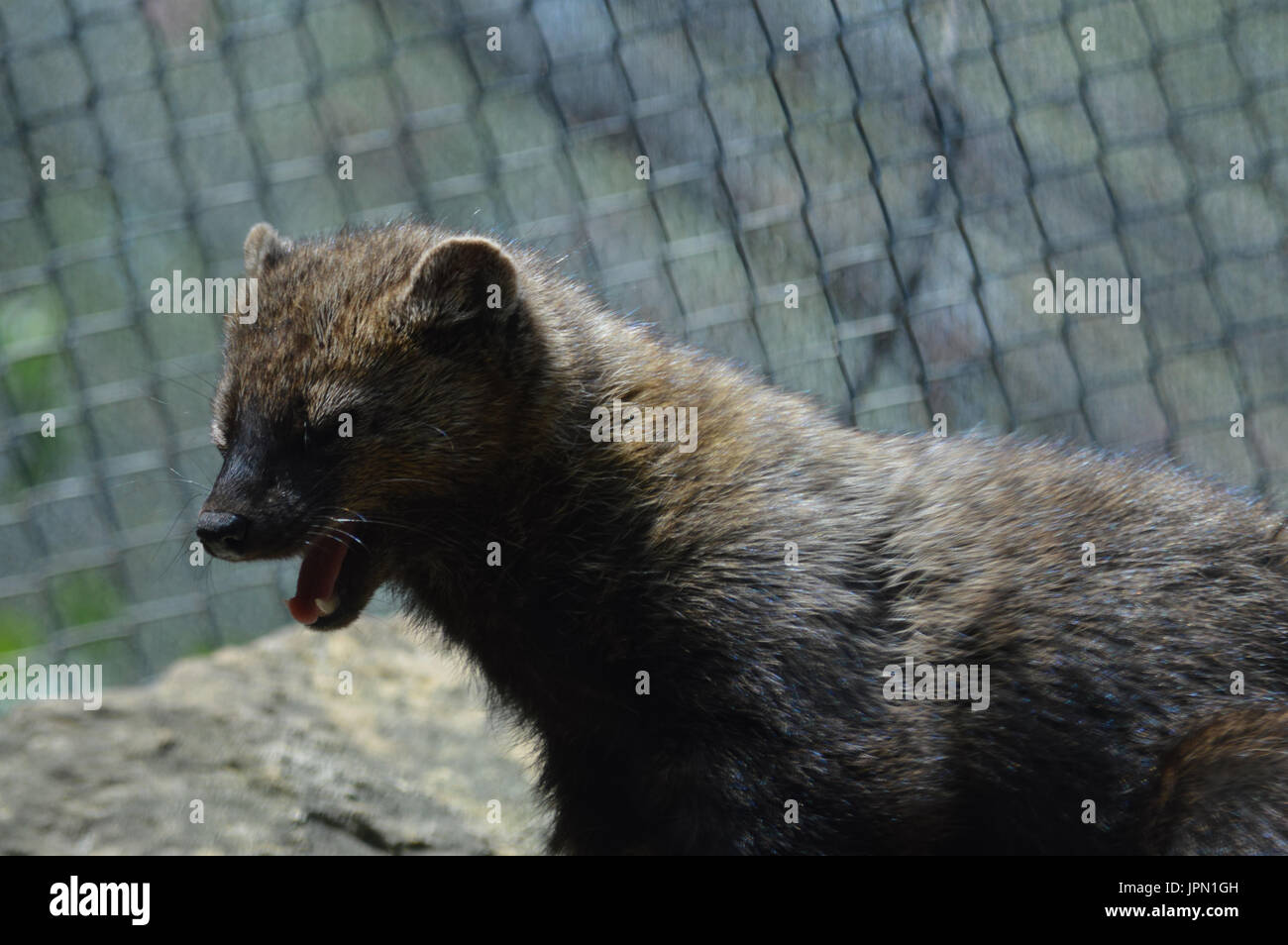 Fisher in the outdoors Stock Photo - Alamy
