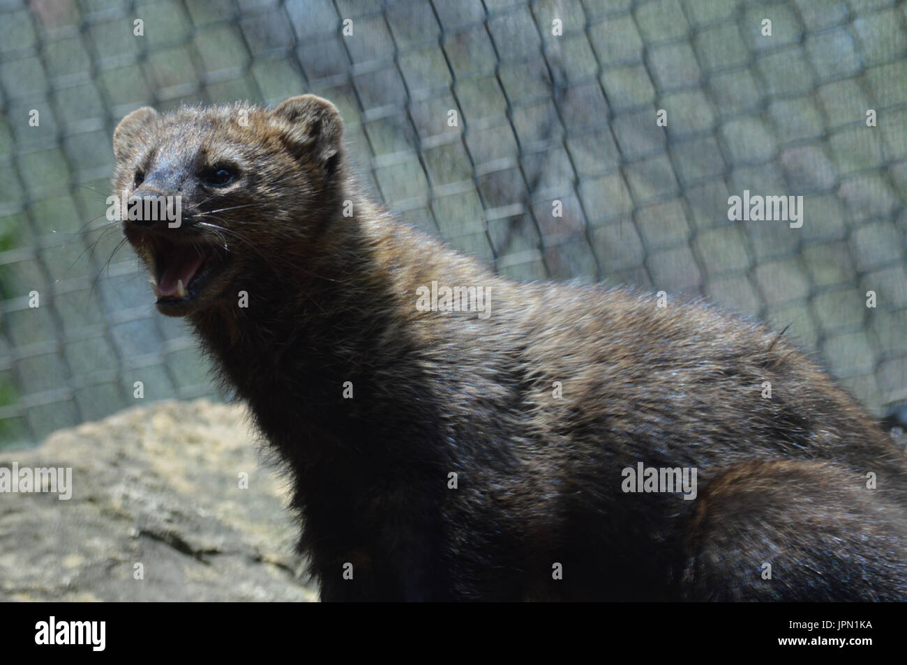 Fisher in the outdoors Stock Photo - Alamy
