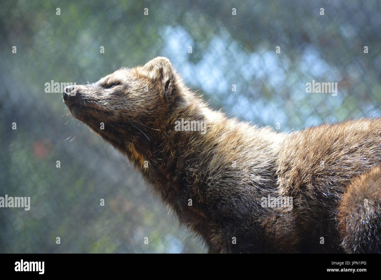 Fisher in the outdoors Stock Photo - Alamy