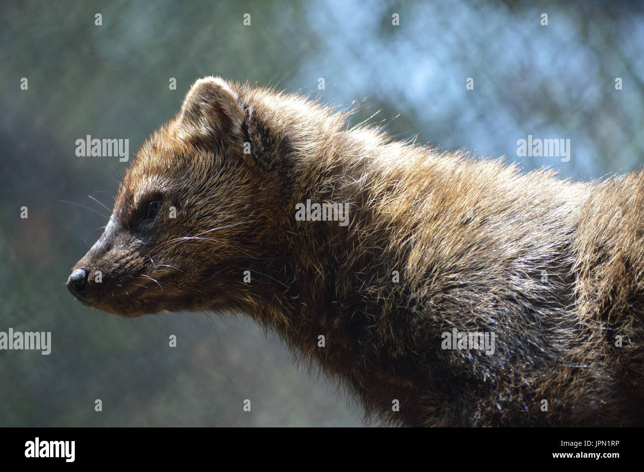 Fisher in the outdoors Stock Photo - Alamy