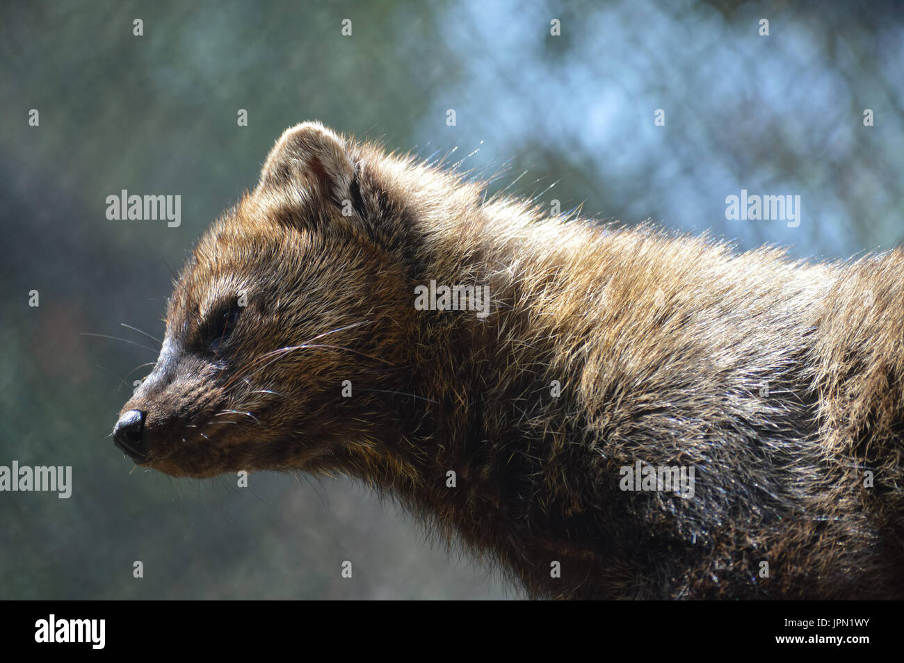 Fisher in the outdoors Stock Photo - Alamy