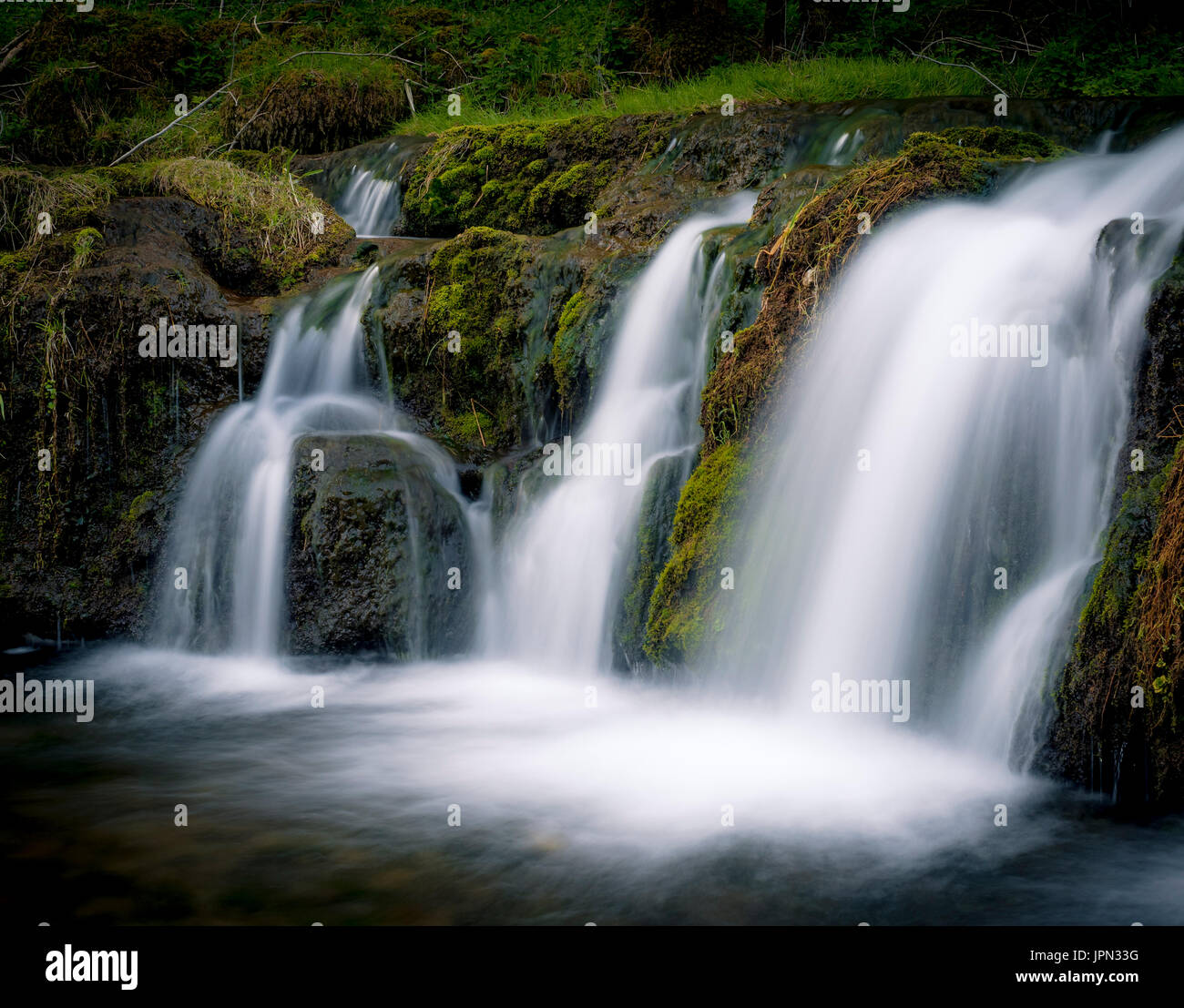 Moss covered waterfall in the heart of Lathkill Dale Stock Photo - Alamy