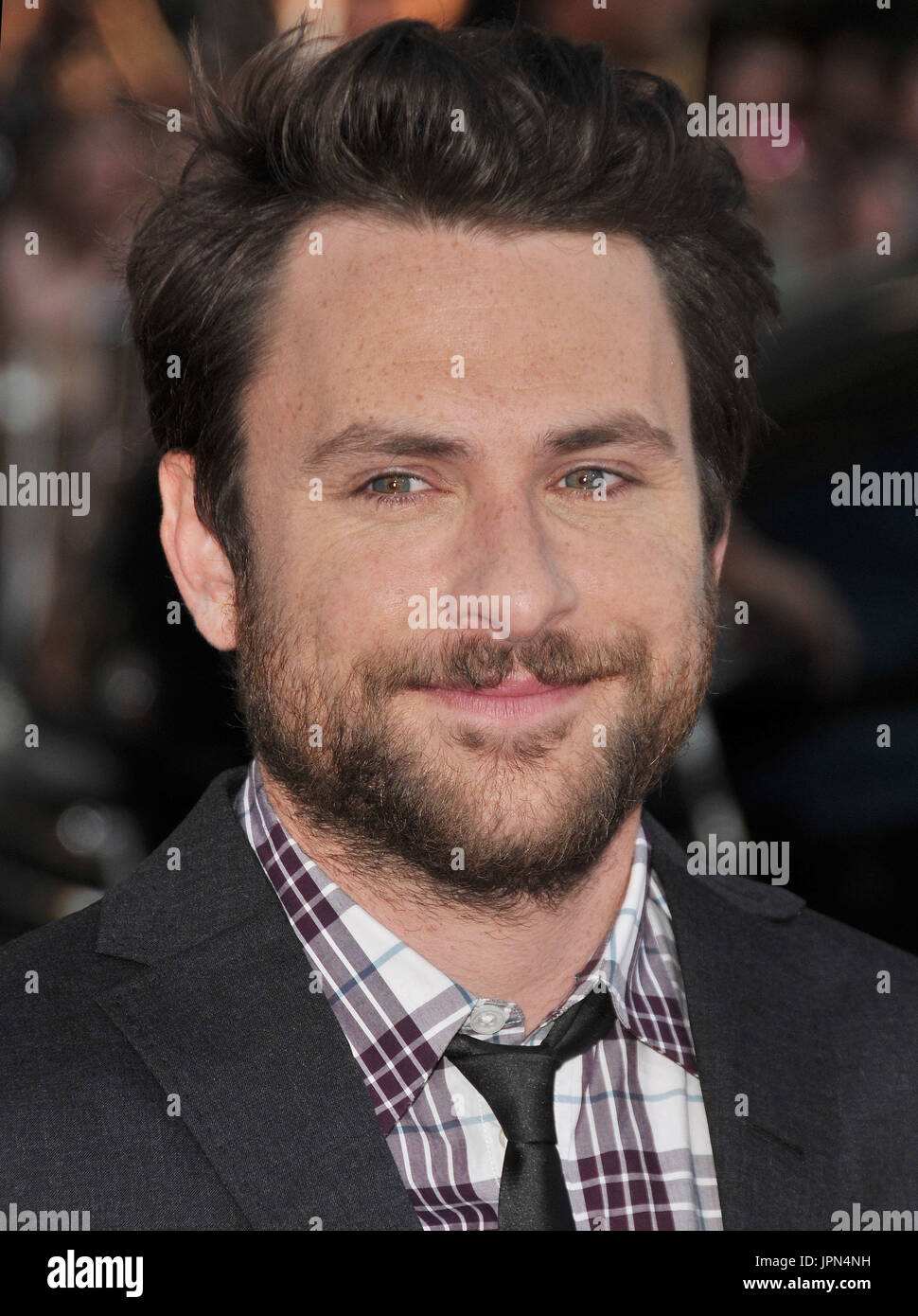 Charlie Day at the Los Angeles Premiere of "Horrible Bosses" held at ...