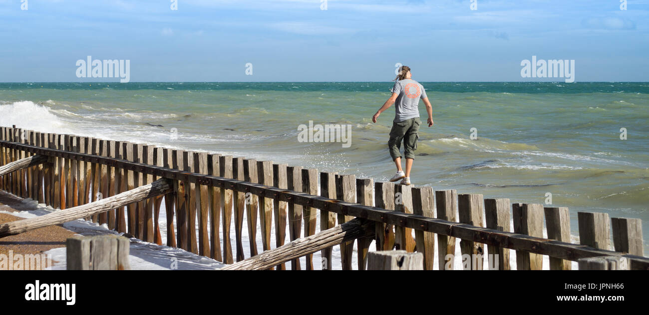 Man walks along a weathered drift fencing at a beach in Hove, East ...