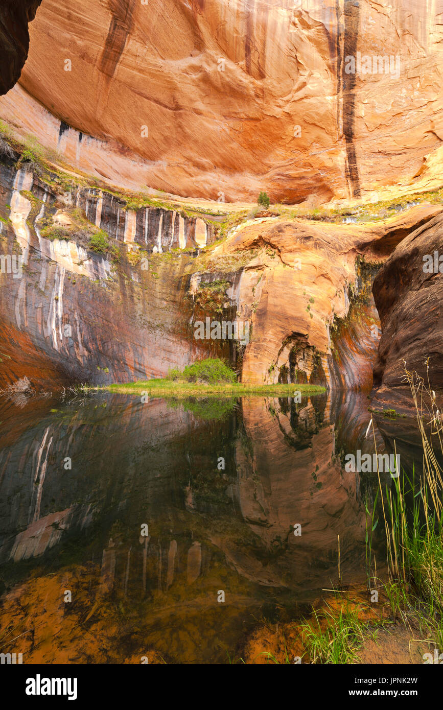 A view of quiet Hidden Pool, an oasis within Coyote Gulch, Grand ...