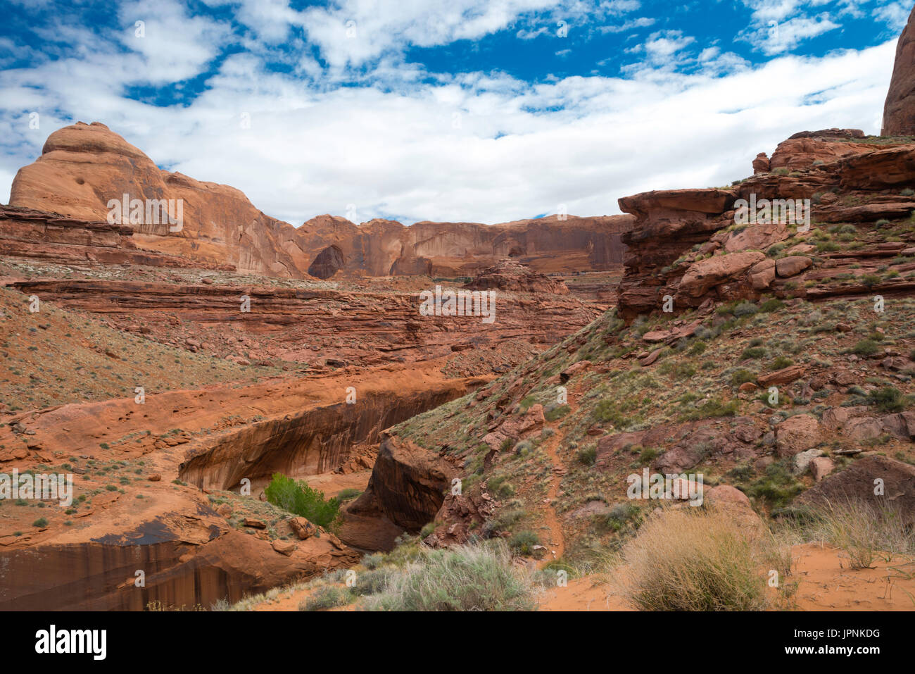 Stevens Natural Arch sits next to the Escalante River near Coyote Gulch ...