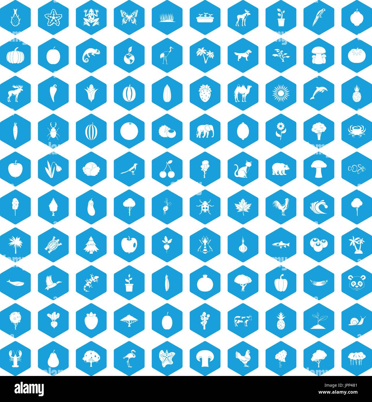 Rare amphibians Stock Vector Images - Alamy