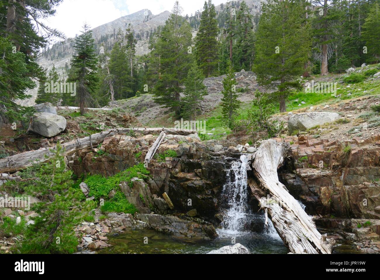 High mountain falls, White Chief Canyon, Sequoia National Park ...